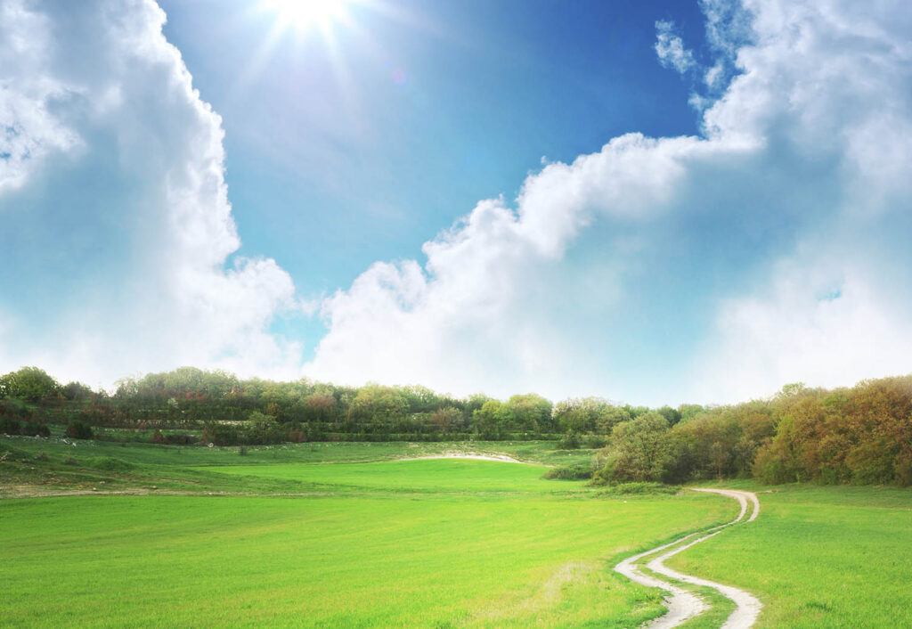 Environmental Trauma and Climate Change | Arizona Relationship Institute